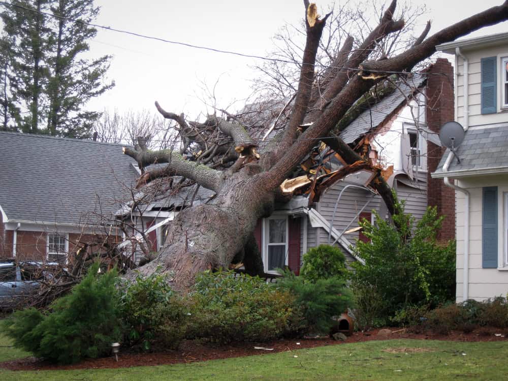Property Damage Claim Lawyers - Lenahan & Dempsey P.C.